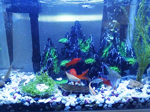 PakyKai Large Fish Tank Decorations, Mountain View Aquarium Ornament with Tree House Cave Bridge Artificial Plastic Plants Aquarium Decorations