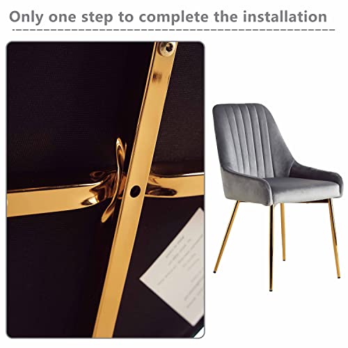 ANOUR Dining Chairs Set of 2, Modern Velvet Living Room Chairs, Kitchen Chairs with Gold Metal Legs, Upholstered Armless Chair for Kitchen Bedroom Vanity(Grey,2 Pack)