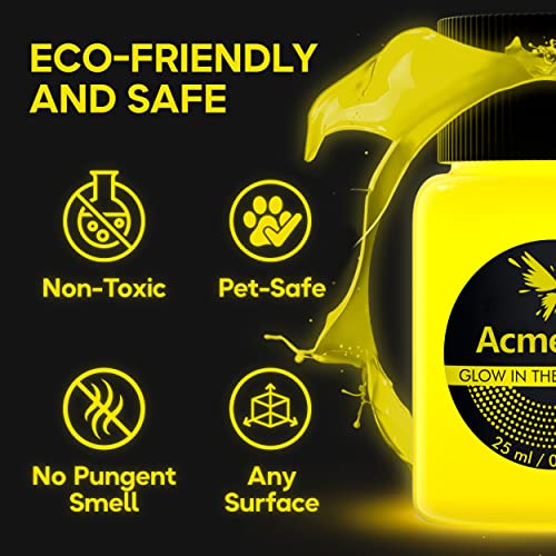 Acmelight Glow in the Dark Acrylic Paint - Fluorescent Paint for Canvas - Neon Decoration - Blacklight Paint Set β Art Supplies for Adults - Craft Gift for Artists