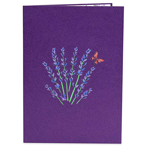 Paper Love 3D Pop Up Card, Lavender Basket, For Mothers Day, Valentines Day, Birthday, All Occasions - 5" x 7" Cover - Includes Envelope and Note Tag