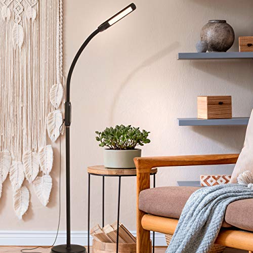 Brightech LightView Pro Flex 2 in 1 Magnifying Desk Lamp, 2.25 + Brightech Vista 3-in-1 Desk Lamp for Living Rooms, LED Floor Lamp, Tall Lamp with Remote Control, Work Light for Documents, Standing La