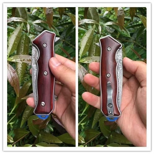 ALBATROSS HGDK001 EDC Classic Damascus Folding Camping Pocket Knives With Liner Lock,Cocobolo Wood Handle,Gifts/Collections