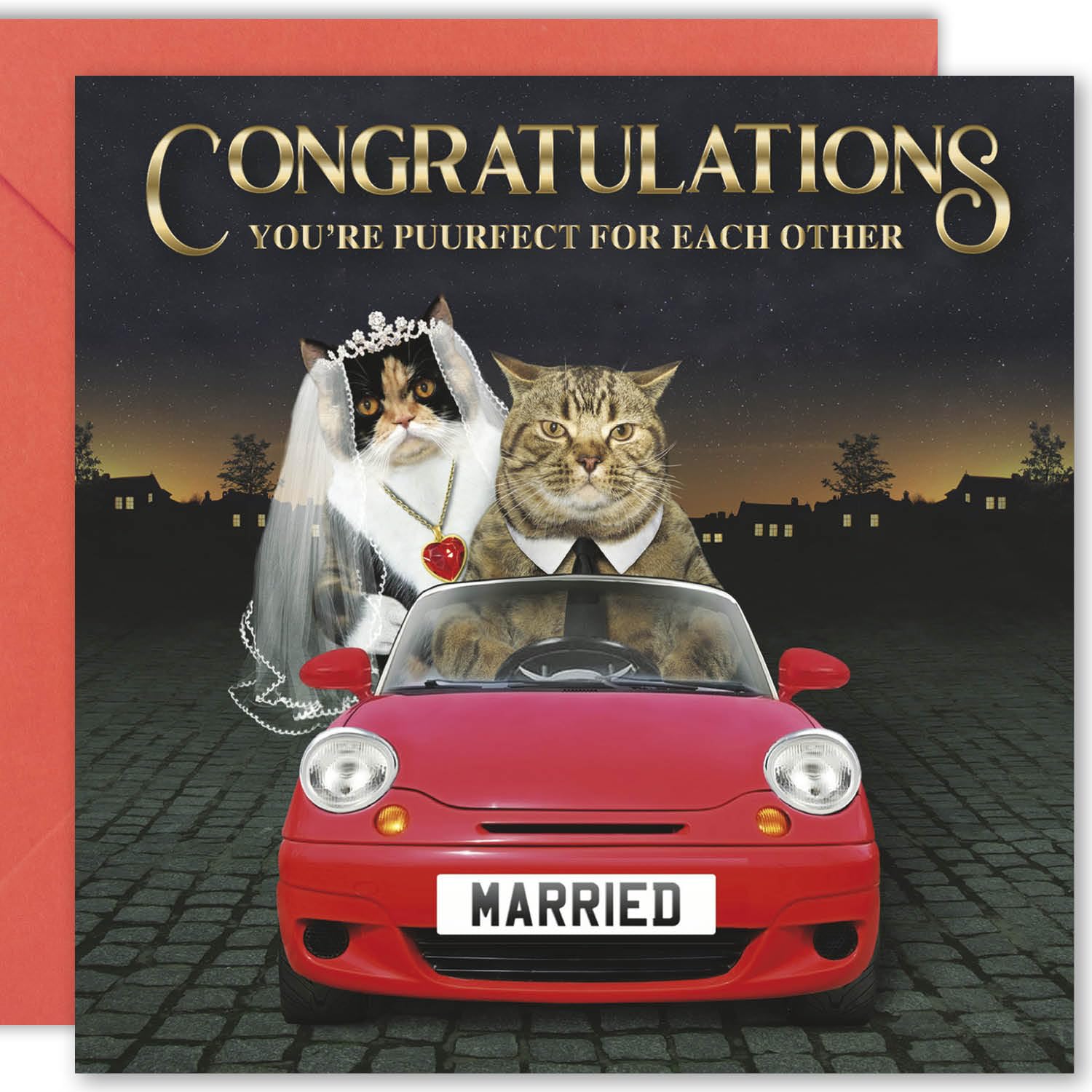 Cult Kitty - Cat Congrats, You Got Married - Just Married Card - Cute Wedding Card for Bride and Groom - Funny Wedding Card Congratulations for Him & Her - Beautiful Wedding card for Couple