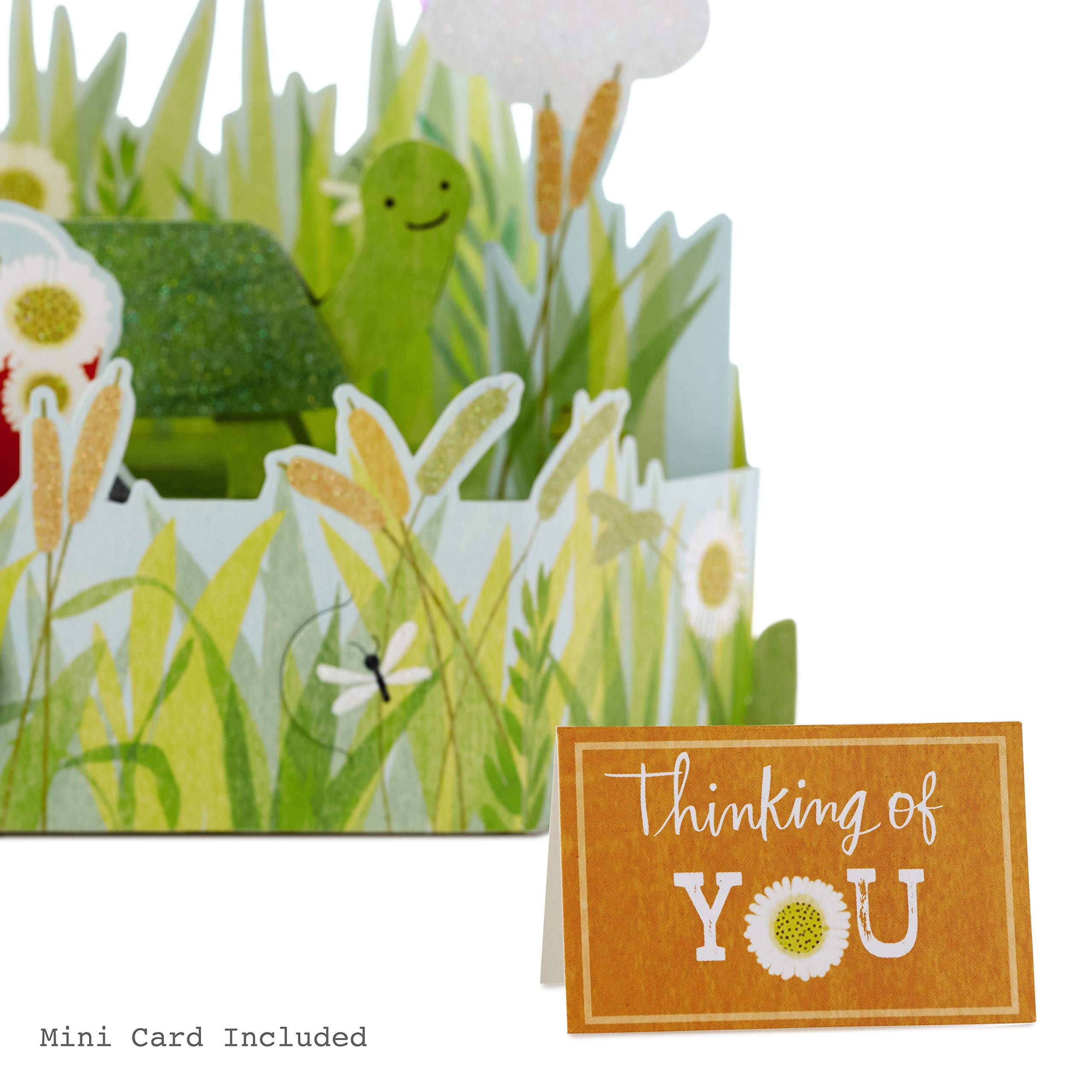 Hallmark Paper Wonder Thinking of You, Get Well Pop Up Card (Rainbow)