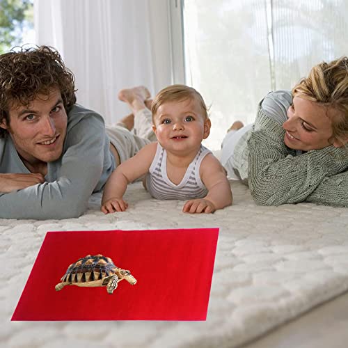 BNOSDM 2 Pieces Reptile Carpet Bearded Dragon Terrarium Substrate Mat Reptile Cage Mat Bedding Supplies for Leopard Gecko Lizard Iguana Snake Tortoise