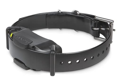 Dogtra 1900S Remote Training E-Collar - 3/4 Mile Range - Electronic Dog Training Collar, Waterproof, Rechargeable, High-Output, Adjustable Levels, Vibration, Obedience, Hunting, K-9, Stubborn Dogs