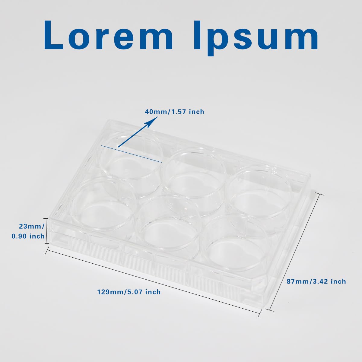 BIPEE Polystyrene Petri Dish 6 Well Cell Culture Plate, Sterile, Pack of 10