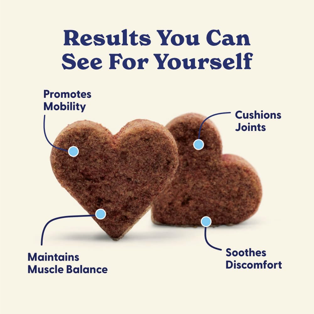 Origin Labs - Revive Mobility Hip & Joint Support Beef Soft Chews for Dogs | Glucosamine Chondroitin MSM & Green Lipped Mussels | Grain & Corn Free, 90 Count