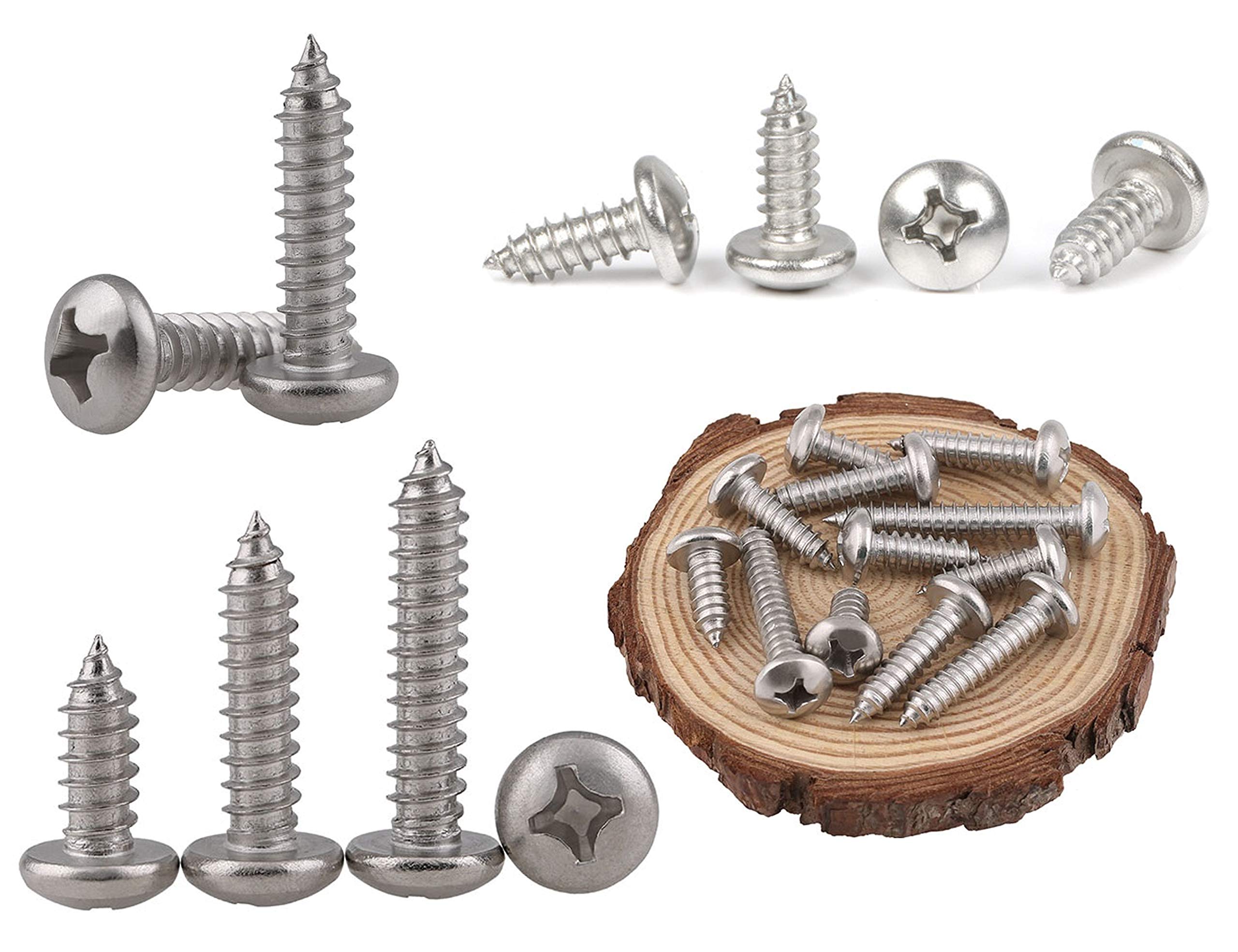 LBY 600pcs M2 M2.2 M2.6 M3 Pan Head Self-Tapping Sheetmetal Screw Assortment Kit, 12 Sizes, 304 Stainless Steel