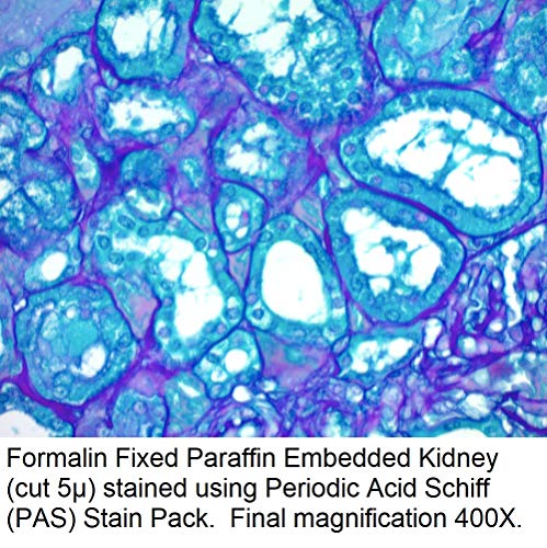 Periodic Acid Schiff (PAS) Stain Pack, 500ml