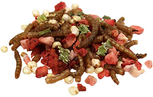 Sun Seed 36035 Vita Prima Hedgehog Treat - Wigglers & Berries Trail Mix, 2.5oz