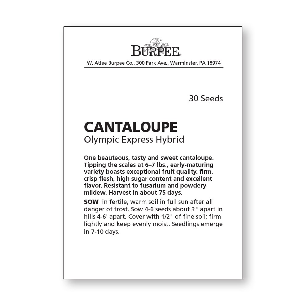 Burpee Olympic Express Cantaloupe Melon Seeds 30 seeds