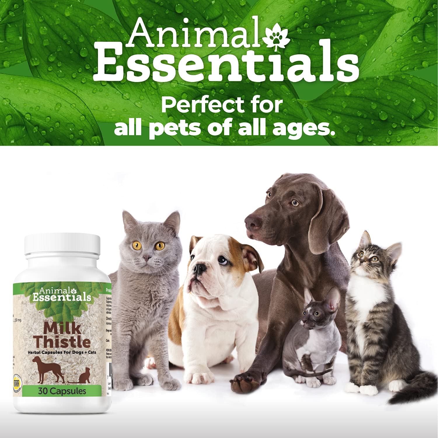 Animal Essentials Milk Thistle Liver Support for Dogs and Cats, 30 Capsules - Made in USA Liver Supplement