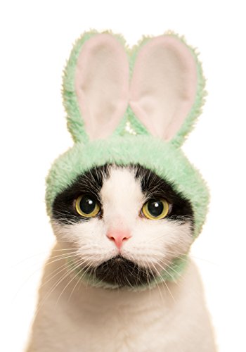 Kitan Club Cat Cap - Pet Hat Blind Box Includes 1 of 5 Cute Styles - Soft, Comfortable - Authentic Japanese Kawaii Design - Animal-Safe Materials, Premium Quality (Rabbit)