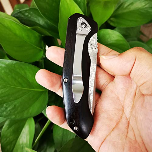 ALBATROSS Ebony wood 7.5" EDC Sharp Damascus Folding Pocket Knife with Liner Lock - Gift Box - HGDK011