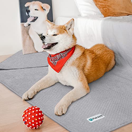 PetAmi Waterproof Dog Blanket, Leakproof Puppy Blanket for Medium Large Dogs, Furniture Sofa Couch Cover Protector, Fleece Pet Throw Indoor Cat Kitten, Reversible Washable Soft Plush, 40x60 Light Gray