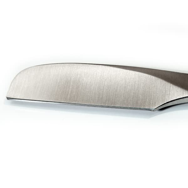 Feather Artist Club Wood DX Folding Handle Razor