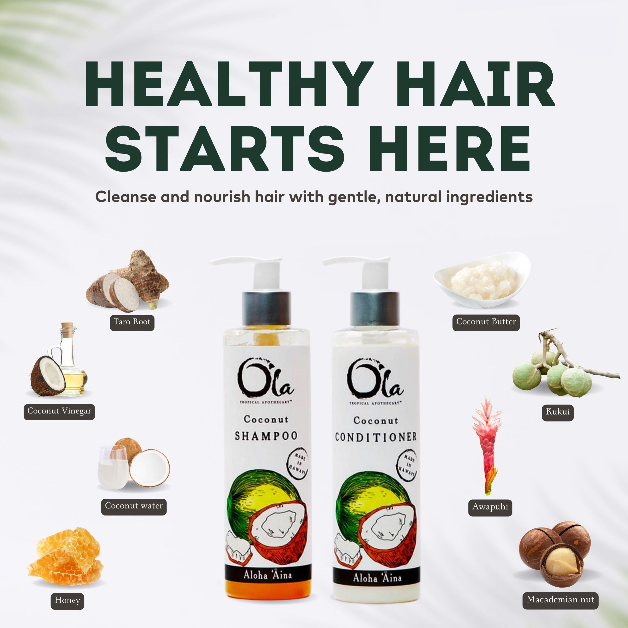 Tropical Apothecary Ola Coconut Organic Shampoo and Conditioner Hair Pair Combo - 8 Fl Oz each