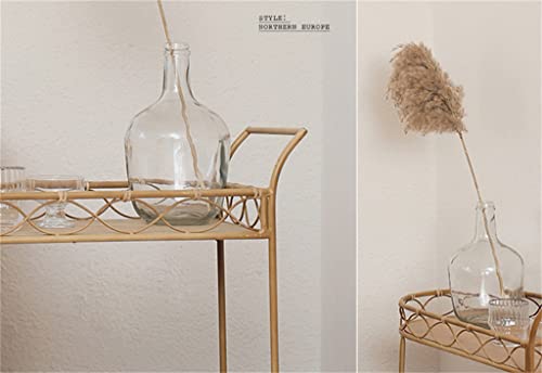 ADFSFD Homestay Dormitory Rattan Kitchen Island Simple Restaurant Balcony Double Layer Cart Coffee Shop Storage Trolley
