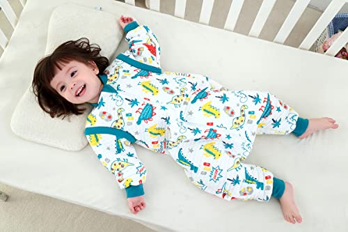 G' abigale Fairy 100% Cotton Cute Dinosaur Baby Sleeping Sack Bag Pajama Set (L, Blue)