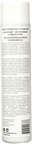 Pulp Riot Barcelona Toning Shampoo for Unisex, 10 Ounce