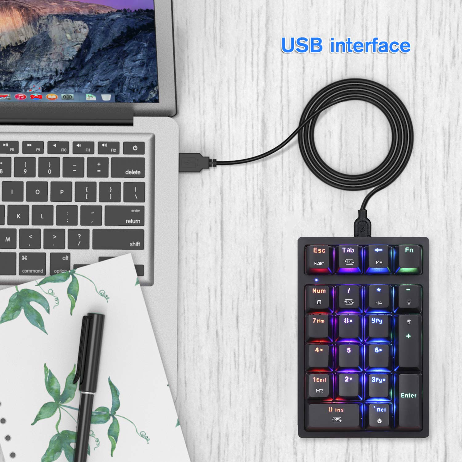 MOTOSPEED Macro Mechanical Numeric Keypad USB Wired 21 Keys Mini Numpad Portable Keypad RGB Backlight Gaming Keypad Extended Layout for Cashier(Fully Programmable Keys)