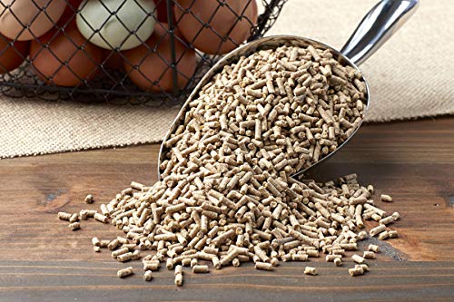 Purina Layena+ | Nutritionally Complete Free Range Layer Hen Feed | 10 Pound (10 lb) Bag