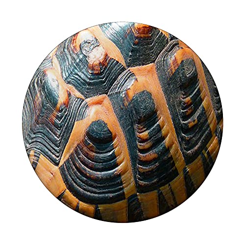 Reptiles Design Image Patterns Turtles PopSockets Swappable PopGrip