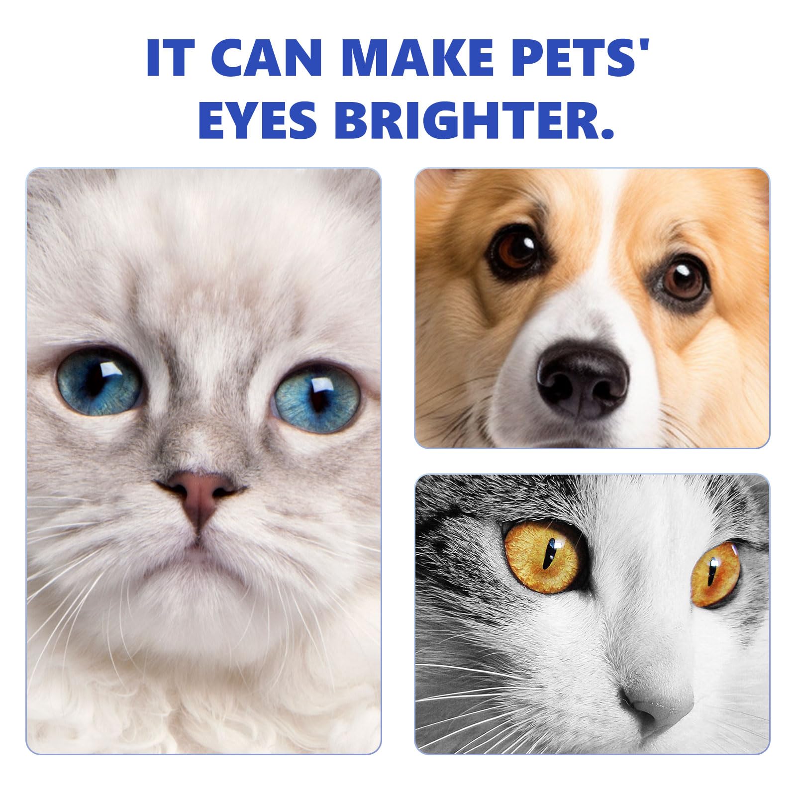 AusuB Pet Gel Eye Drops,Pets Eye Drops,Therapeutic Eye Lubricating Drop for Dog & Cats,Eye Solution for Severe Dry Eyes,Effective Dog Eye Infection Treatment (3Pcs,Blue)