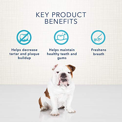 Blue Buffalo Dental Bones Small Natural Dental Chew Dog Treats, (15-25 lbs) 27-oz Bag Value Pack