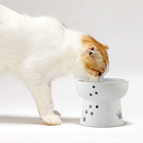 NECOICHI Raised Cat Water Bowl, Elevated, with Measurement Lines, Dishwasher and Microwave Safe (Cat, Extra Tall)