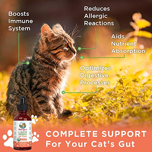 Cat Probiotic | USDA Organic Probiotic Cat | Probiotic for Cats | Cat Probiotic for Digestive Support | Supplement for Gut Health & Beneficial Bacteria | Vegan | Non-GMO | Gluten Free | 4 Fl Oz