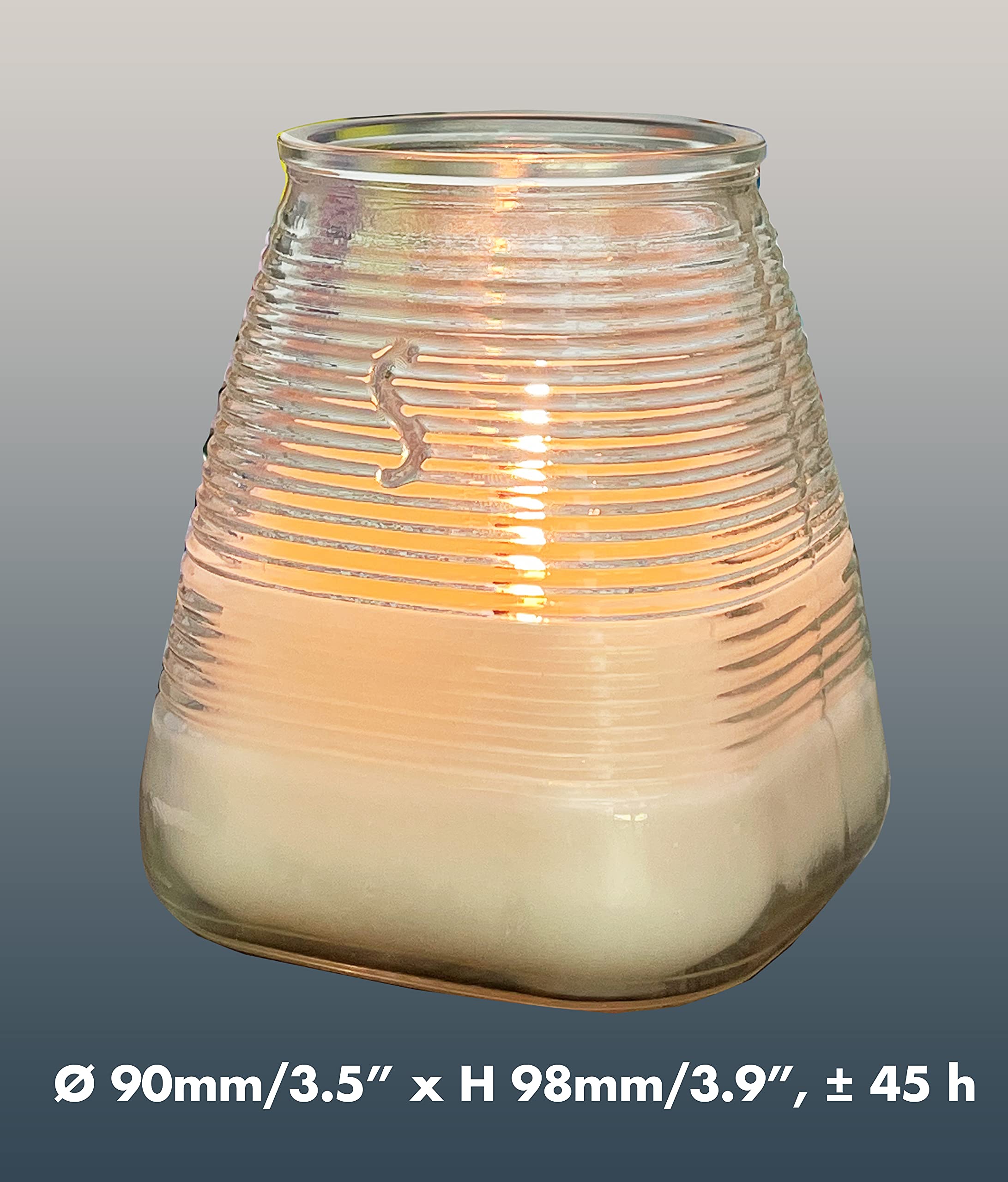 Citronella Candles, Outdoor Indoor Large Citronella Scented Jar Candles Set, Aromatherapy Candle - 45 Hours Burn Time - for Summer Home Garden Patio Balcony Outside Camping - 6 Pack (Ginger Love)