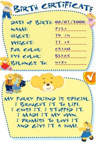 Build-A-Bear Workshop - Nintendo DS (Renewed)