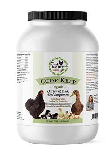 Fresh Eggs Daily Coop Kelp Organic Feed Supplement Vitamins for Backyard Chickens and Ducks 7LB