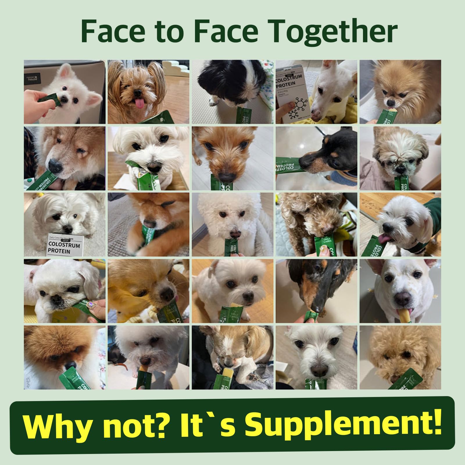Doctor By Colostrum Protein for Dogs and Puppy β Weight Gain Supplement for Dog - Muscular Strength and Immune System Support with Colostrum, Whey Protein Isolate, Goat Milk β 30 Tubes
