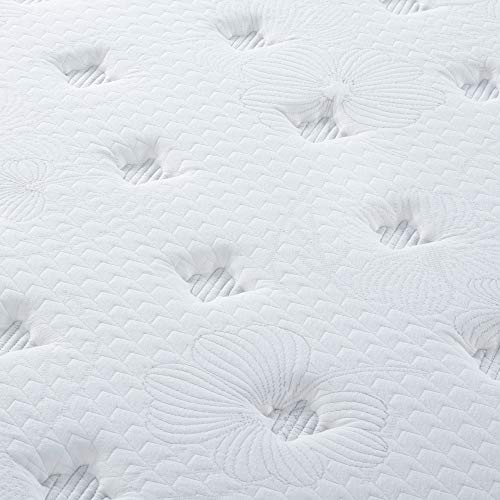 Sleeplace 12 Inch Euro Top Spring Mattress King - Blue Piping SP12SM03K