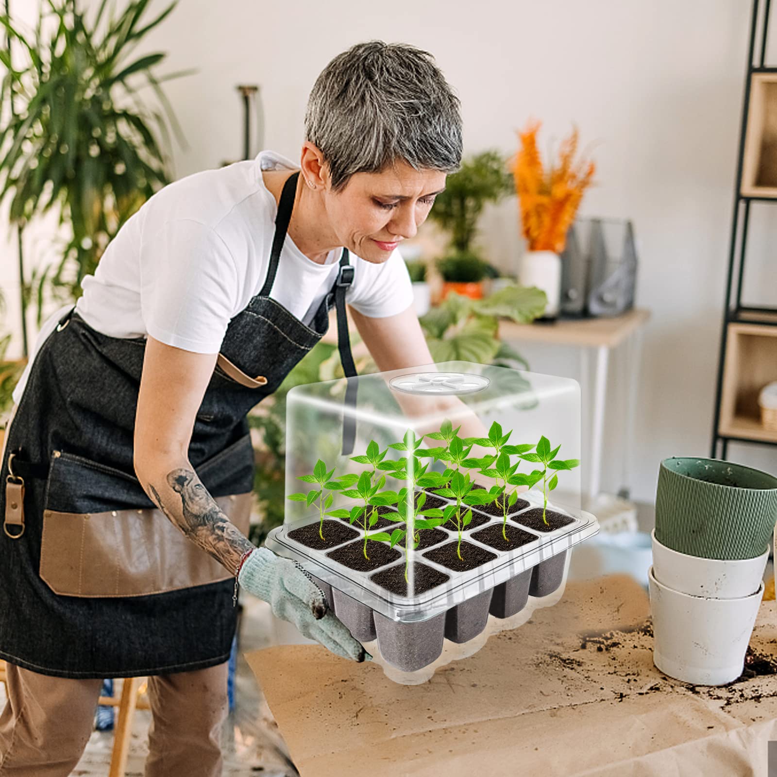 5 Packs Seed Starter Tray 60 Cell Seed Starter Kit, Plant Starter Growing Trays with Humidity Adjustable Dome and Base, Reusable Mini Greenhouse Plant Germination Tray for Indoors Seeds Sprout Growing