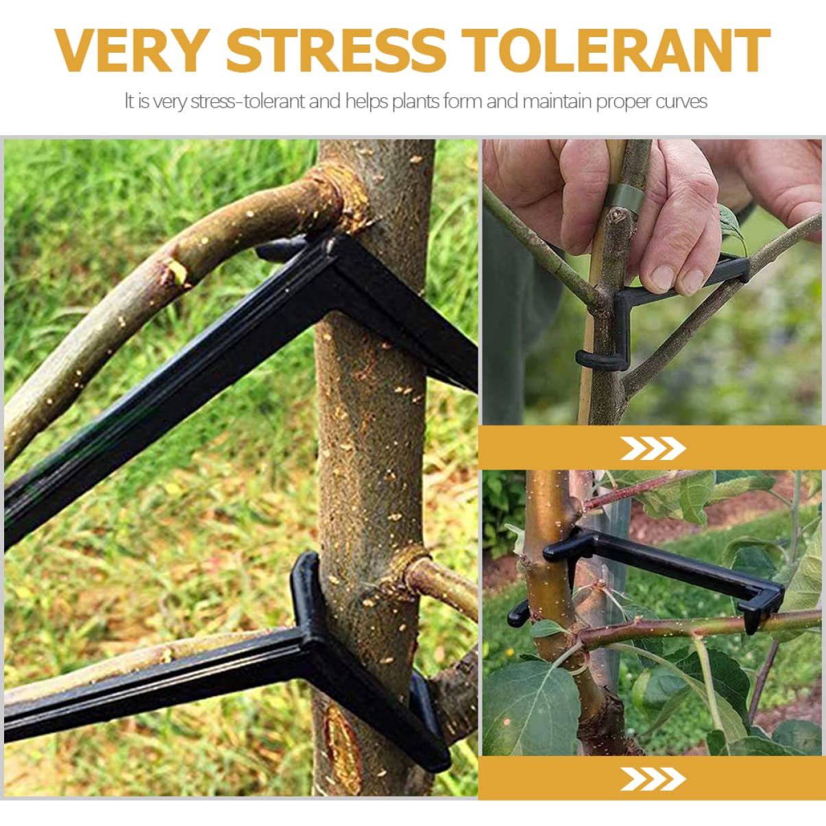 Angoily 10pcs Branch Press Fruit Branch or Bonsai
