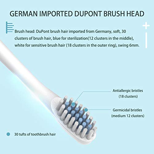 Sonic Electric Toothbrush Rechargeable Ideal for Adults Children, 6 Optional Modes IPX7 USB Fast Charging Electric Ultrasonic Toothbrush with 2 min Build in Timer & 4 Replacement Brush Heads(Black)