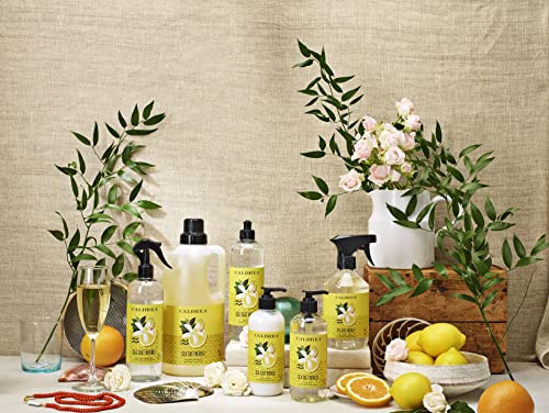 Caldrea Liquid Fabric Softener, Plant Derived, Helps remove static and wrinkles, Sea Salt Neroli Scent, 32 oz