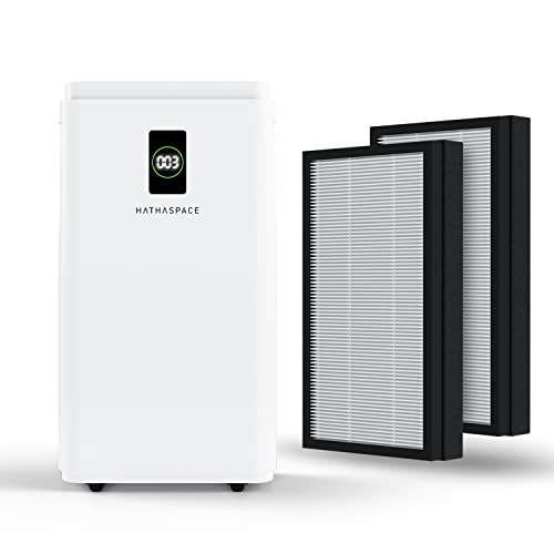 HATHASPACE Dual Filtration Air Purifier for Large Room, Office, with Extra True HEPA Air Filter for Allergens, Pets, Smoke, Removes 99.9% of Dust, Pet Dander, Odors, Pollen - HSP003-2800 Sq. Ft.