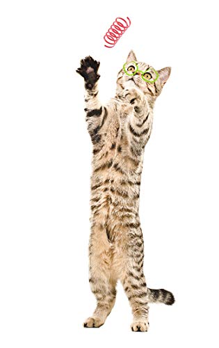Tamu style Cat Spring Toys (120 Pack), Plastic Coils for Swatting, Biting, Hunting, and Active Healthy Play, Colorful 2 Inch Spirals
