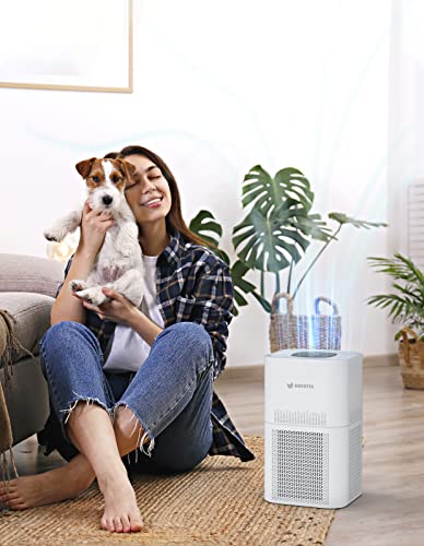HEPA Air Purifiers for Home Large Room, CADR 300+ m³/h 1290sqft, with Extra H13 True HEPA Air Filter for Allergies Pets Dander
