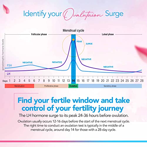 Clinical Guard 40 Ovulation Test Strips and 10 Early Pregnancy Test Strips Combo Rapid HCG Test Fertility Ovulation Predictor Kit