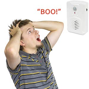 SierraTeck Motion Activated Voice Player - Recordable, Built-in Microphone β Independent Living, Point of Sale Advertising, Door Greeter, Entry Alert