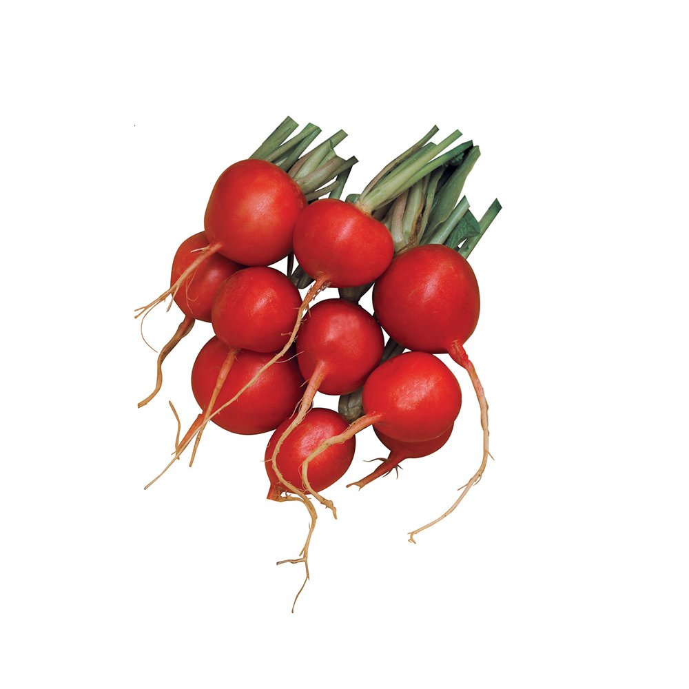 Burpee Cherry Belle Radish Seeds 1000 seeds