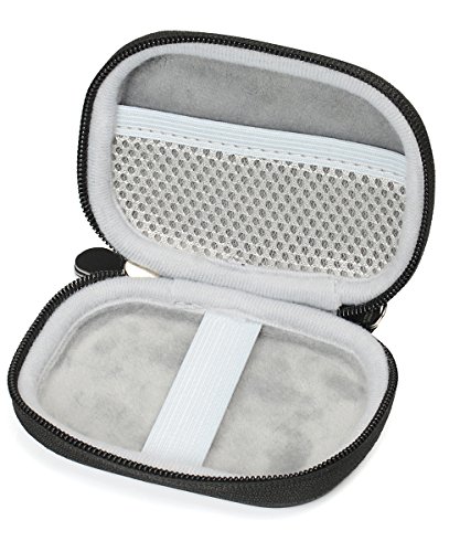 CaseSack case for Beats Flex Wireless Earbuds. Also for Powerbeats High-Performance Wireless Earbuds.