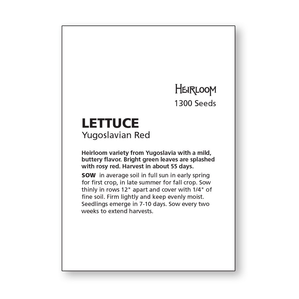 Burpee Yugoslavian Red Lettuce Seeds 1300 seeds