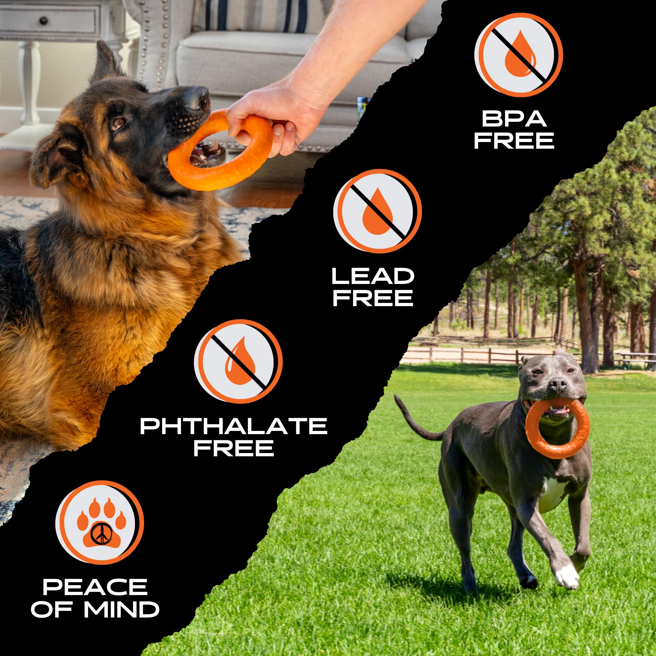 Monster K9 Indestructible Chew Ring - Lifetime Replacement - Ultra Durable Dog Toy for Aggressive Chewers - Chew, Tug, & Fetch - Best Tough Dog Toy for Medium & Large Breeds - Made in USA - 6.5in